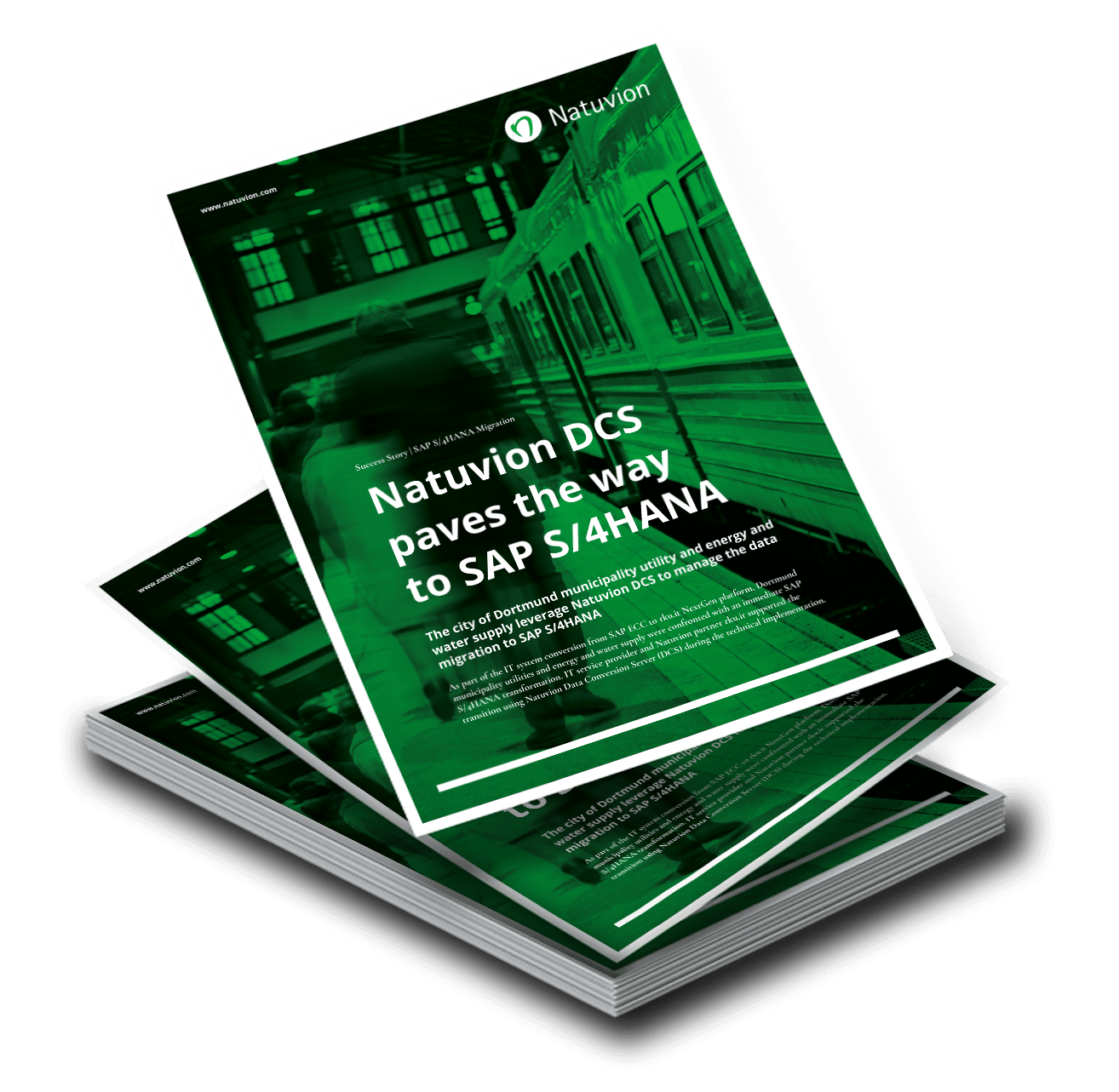 Successful SAP S/4HANA Migration with Natuvion DCS