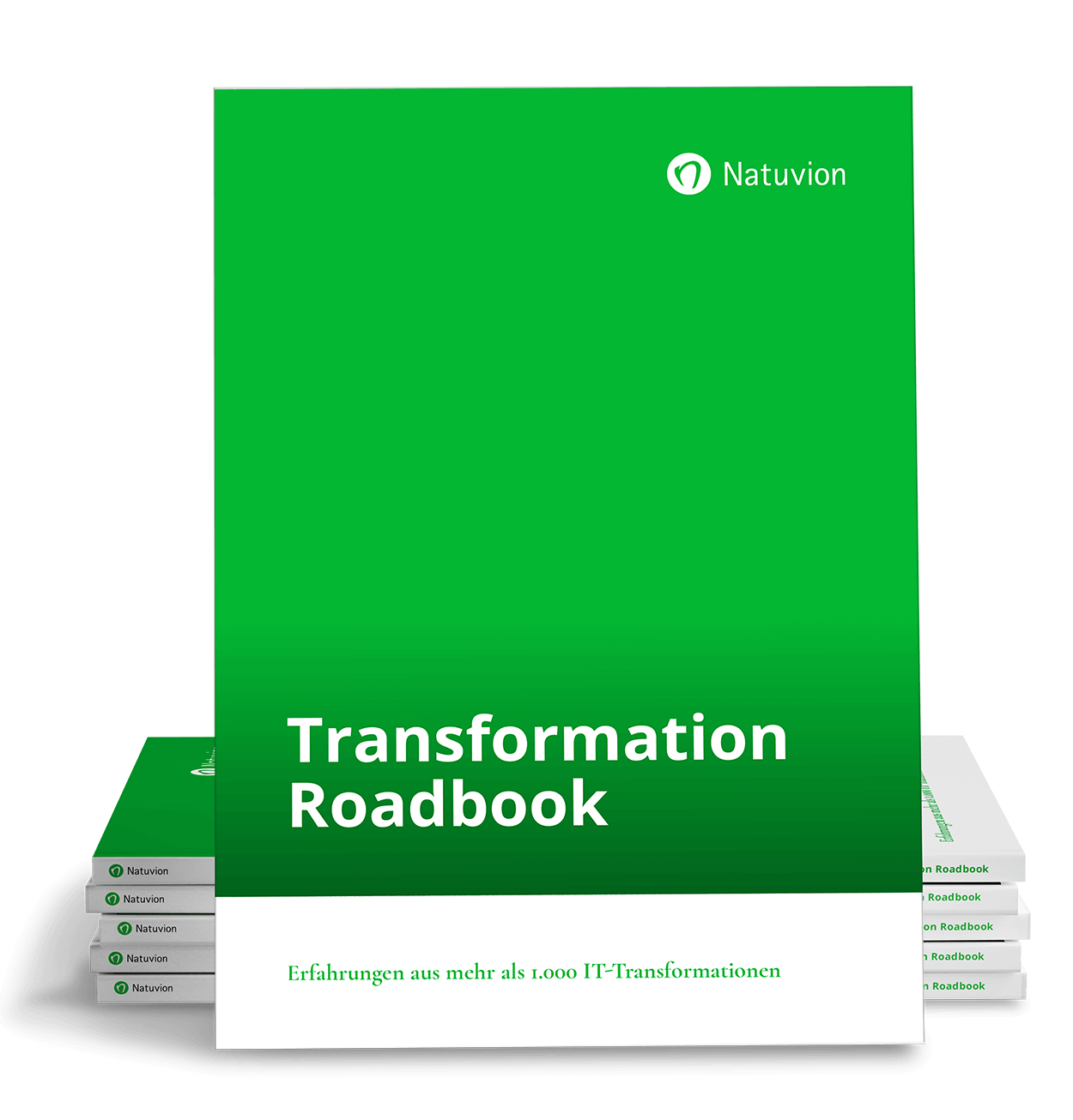 Ein Leitfaden: So meistern Sie Ihre IT-Transformation