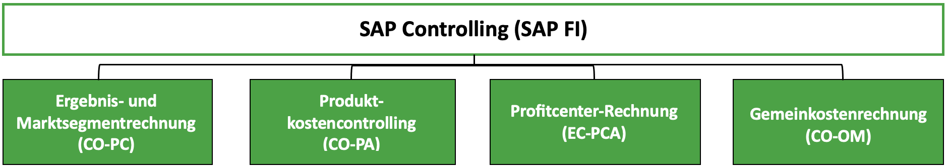 SAP Finance & Controlling (FI/CO)