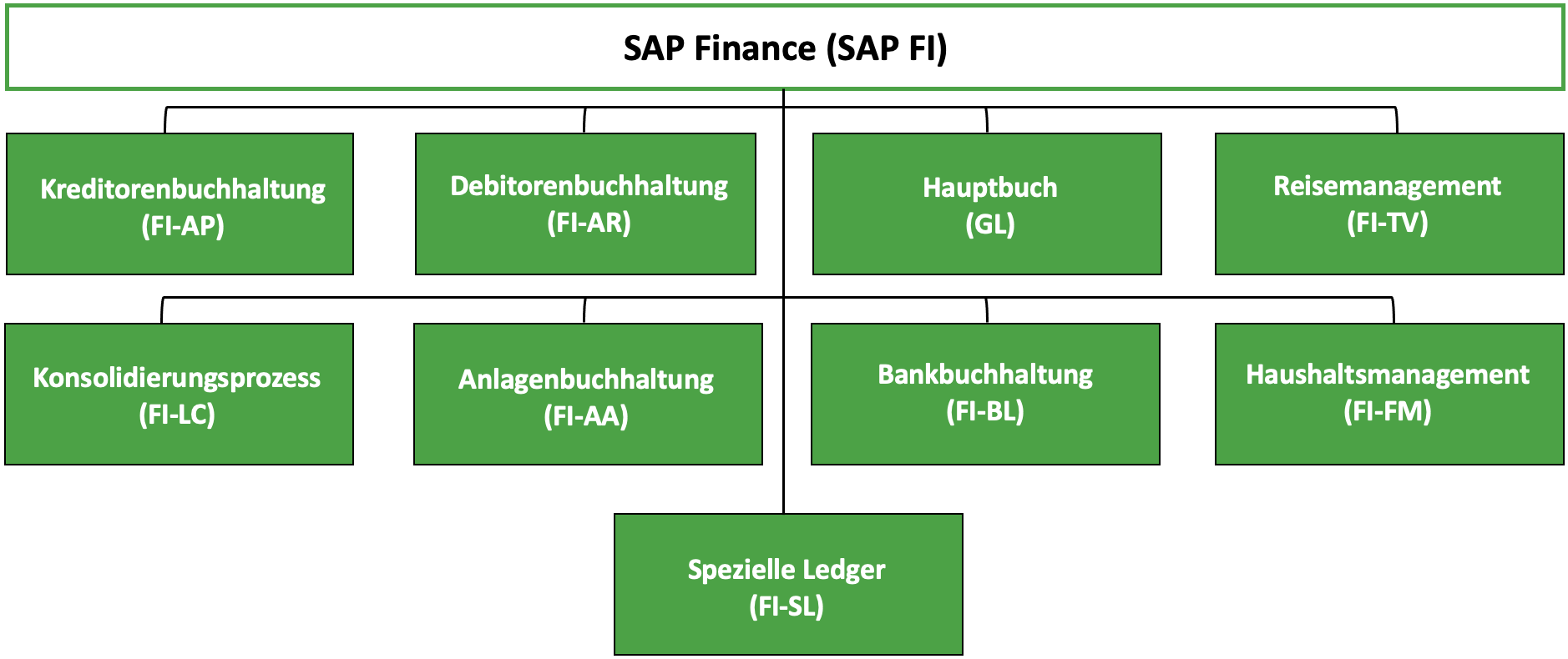 SAP Finance & Controlling (FI/CO)